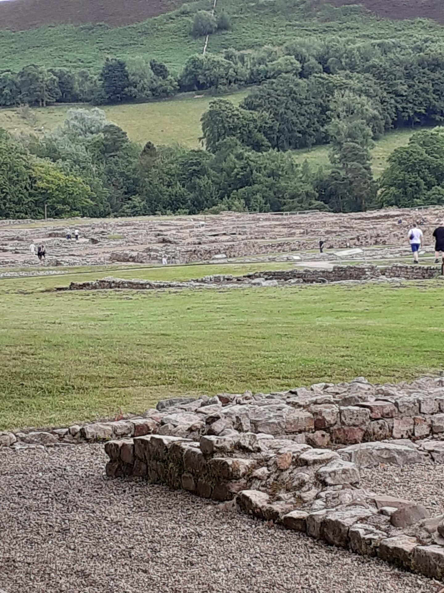 Vindolanda - Bishop Auckland & District