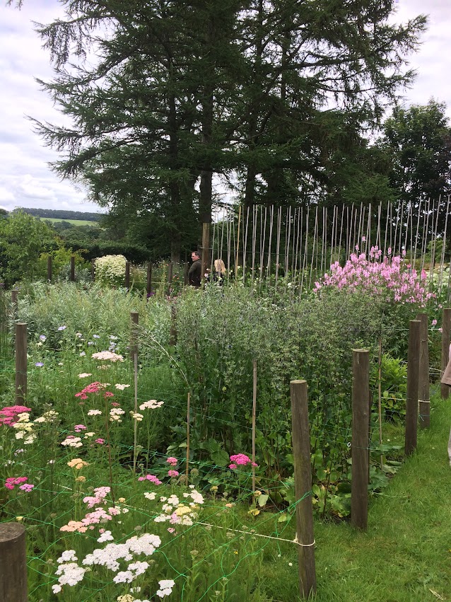 Pinks Flower Farm, Cotherstone - Bishop Auckland & District