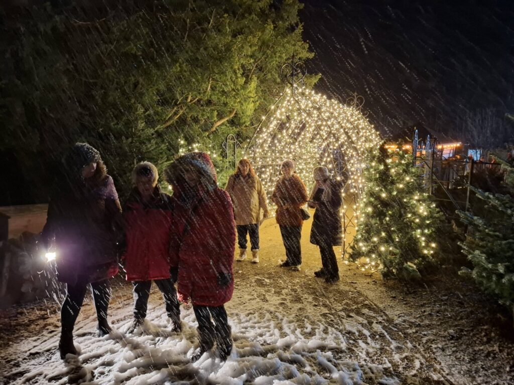 Plotter's Forest Christmas Light Trail - Bishop Auckland & District